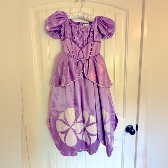 Disney | Costumes | Chasing Fireflies Disney Sofia The First Ballgown ...